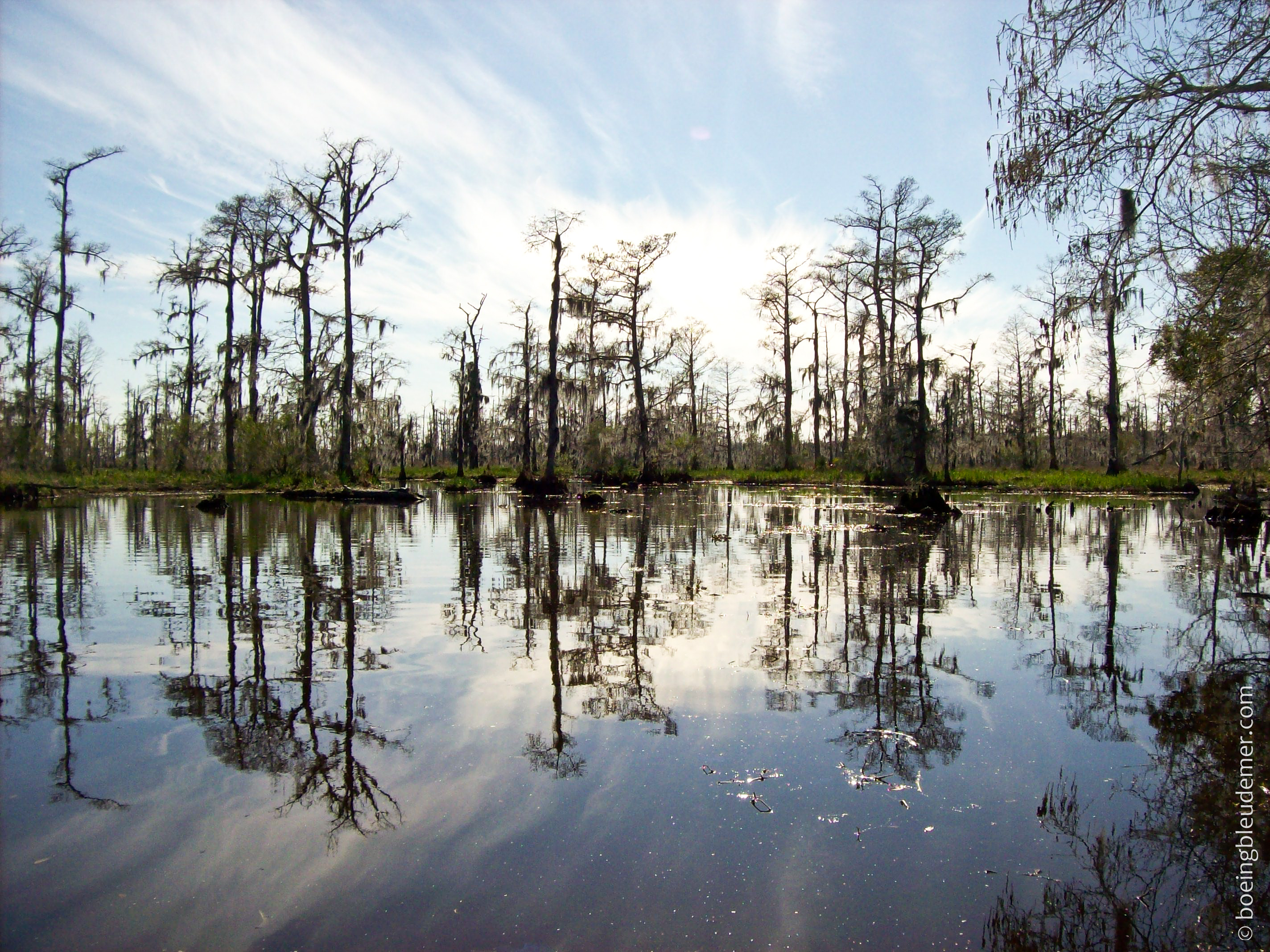 Hydroglisseur dans le bayou de Louisiane – Sur un Boeing Bleu de Mer