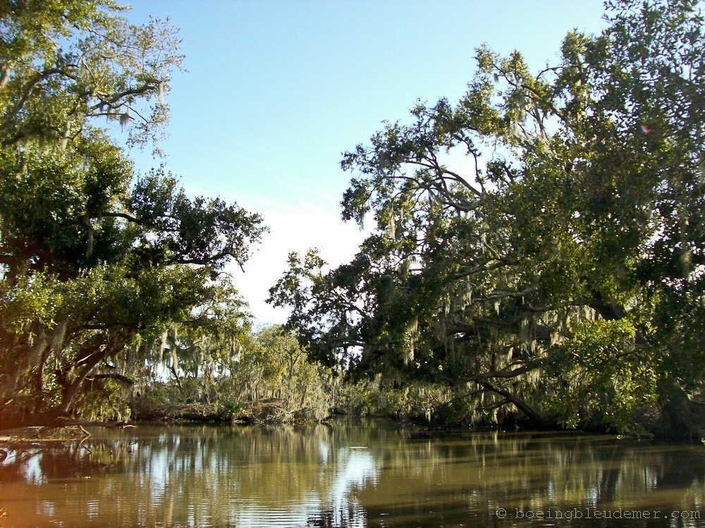 Hydroglisseur dans le bayou de Louisiane – Sur un Boeing Bleu de Mer